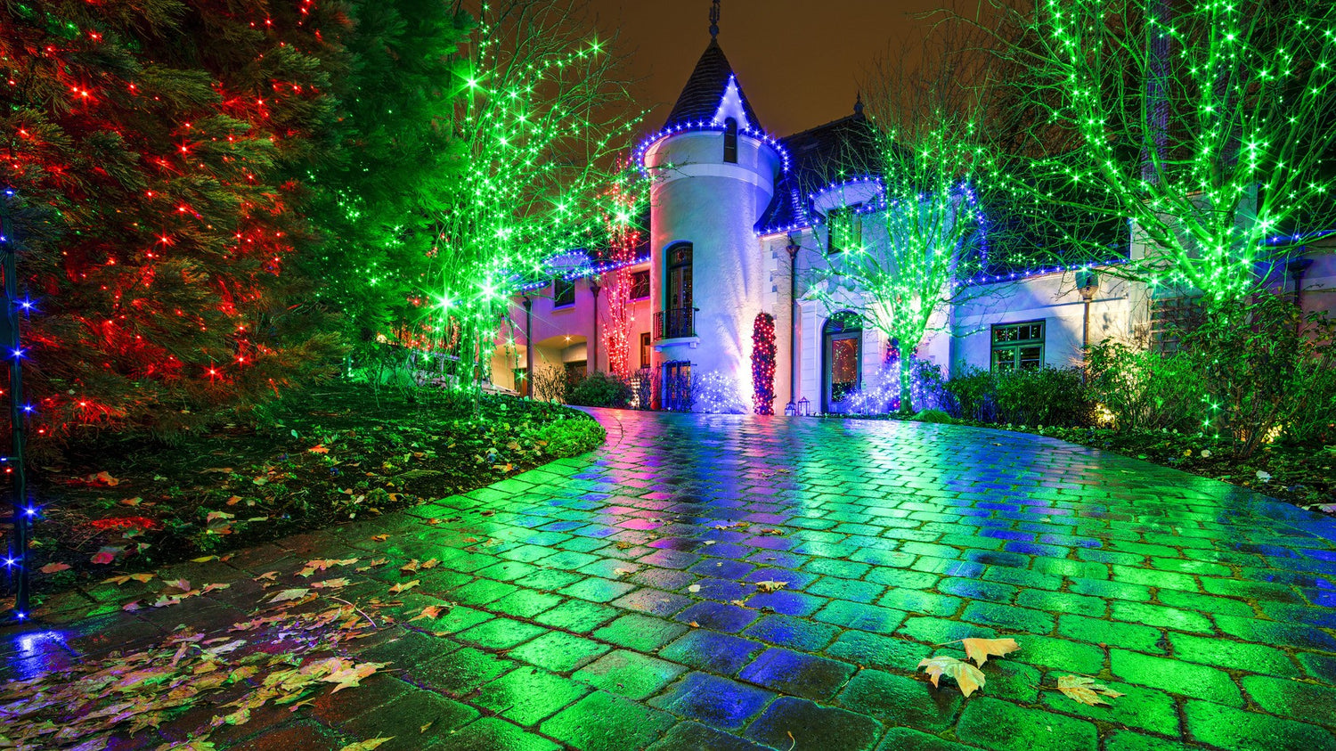 Christmas Lights at Wholesale Prices - FREE Shipping on Orders $399+